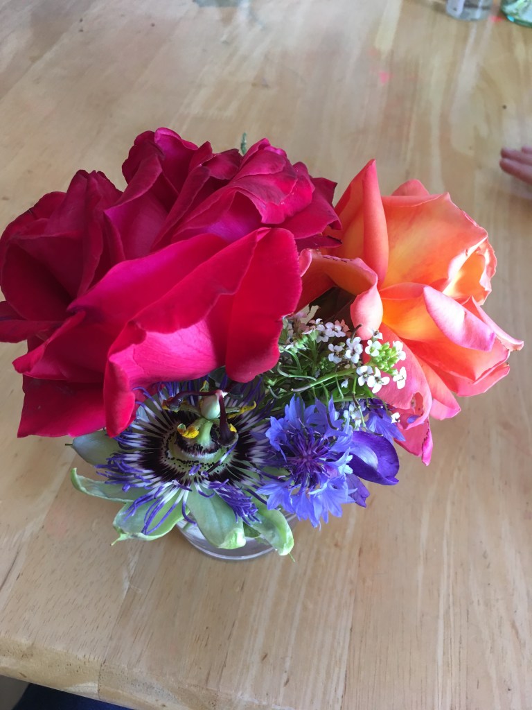 Things kids can do with flowers – Not a Horticulturist
