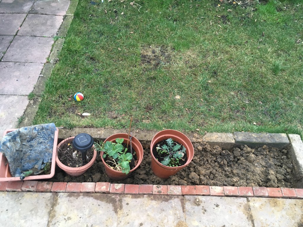 Recycling, reusing and waste disposal (Part 2) – Not a Horticulturist